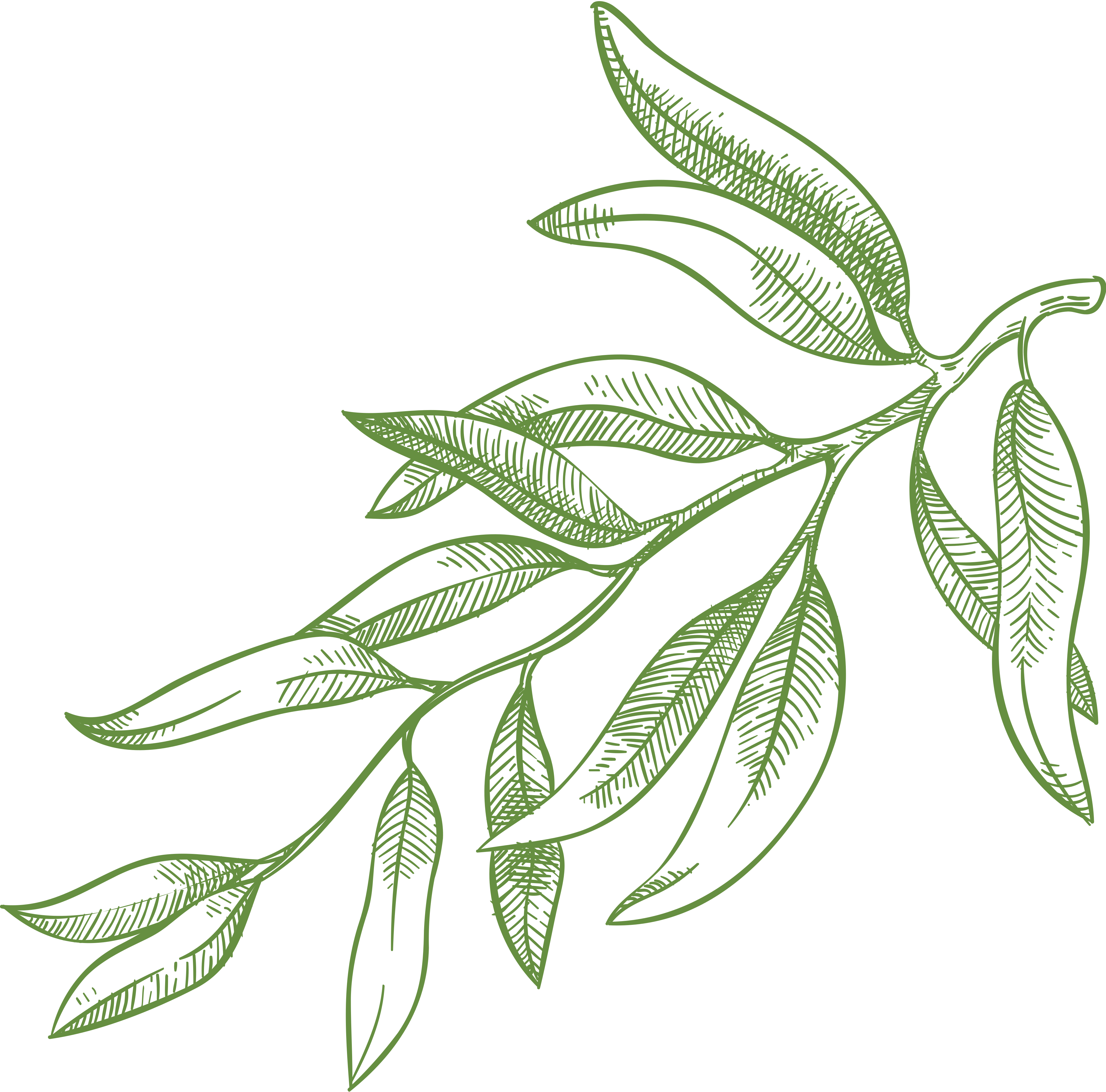 Hudson Nails | Eastdale's Premier Nail Salon